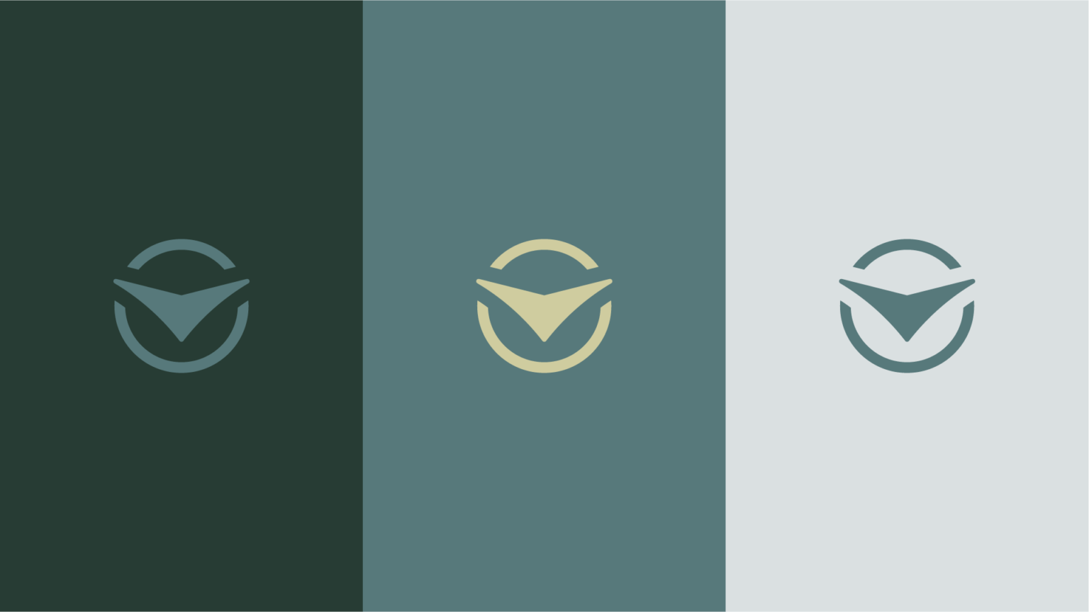 CASI Logo – Trevor Kinkade Design